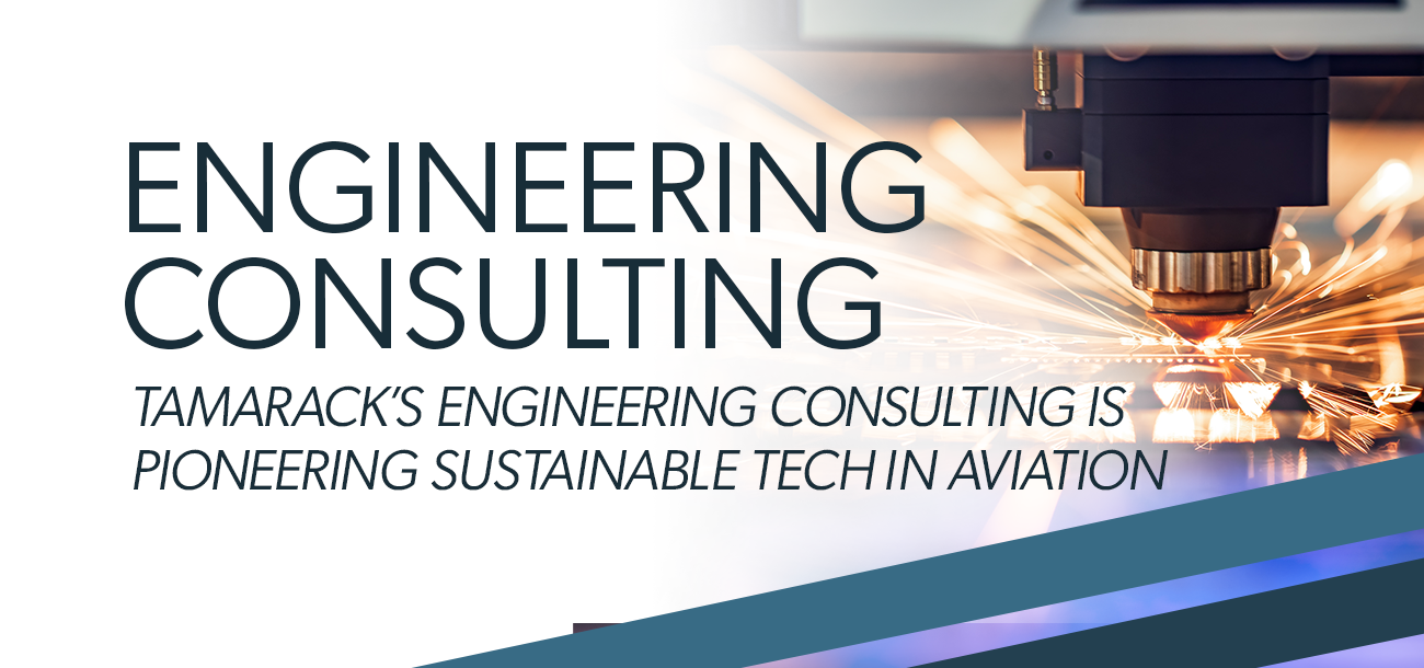 Tamarack Aerospace: Pioneering Sustainable Tech in Aviation